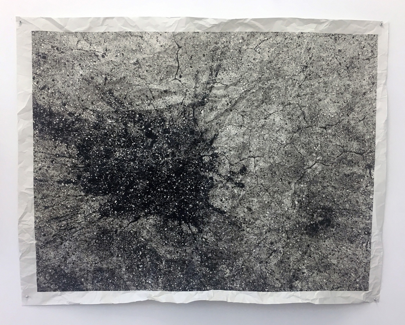 Artists at Work: Susan Silton