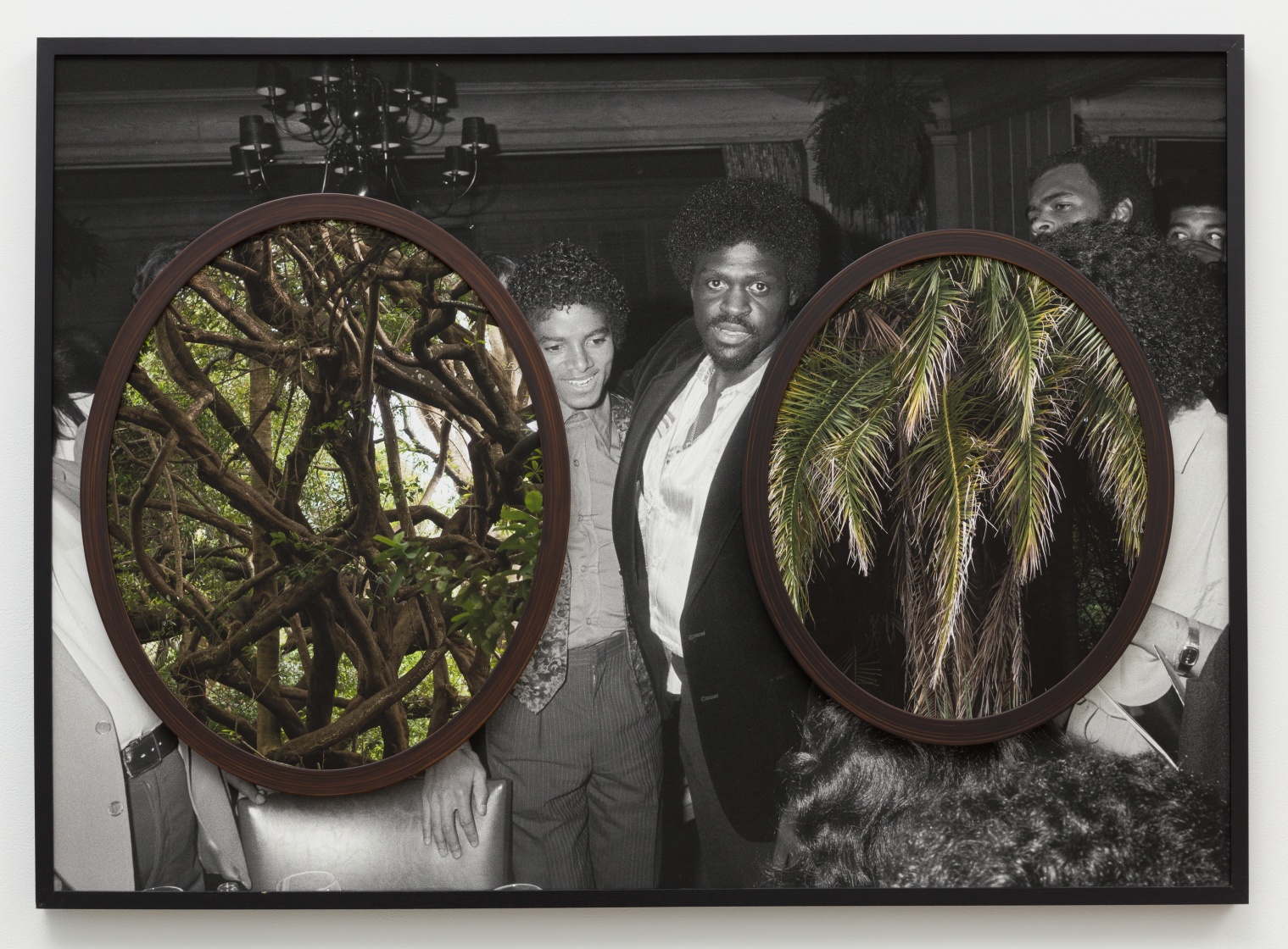 Artists at Work: Todd Gray